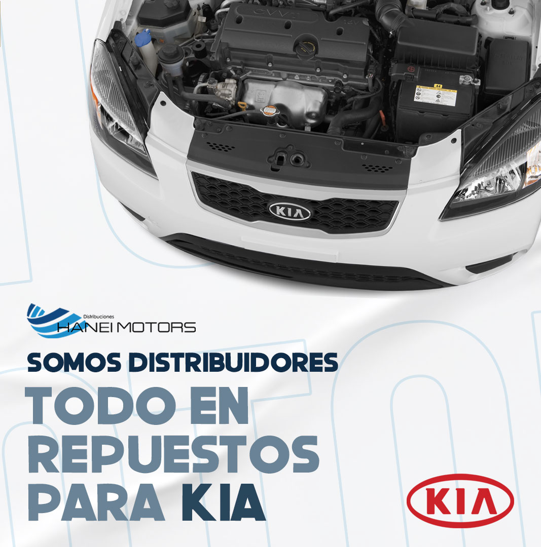 Cultura Organizacional – Distribuciones Hanei Motors